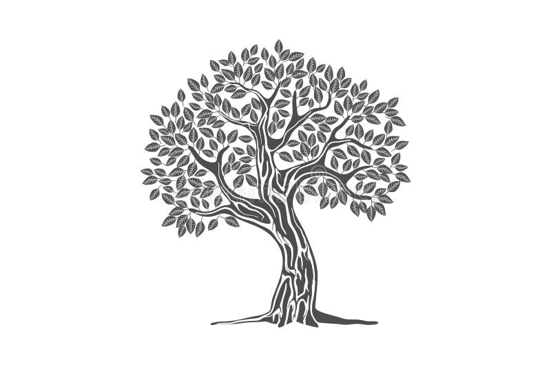 Banyan Tree Icon Silhouette Isolated on White Stock Vector ...