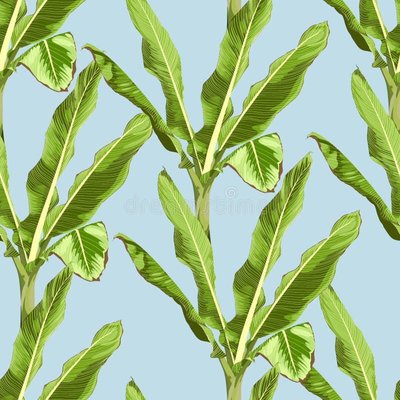 Bananas Tree. Seamless Floral Pattern with Exotic Banana Grass ...
