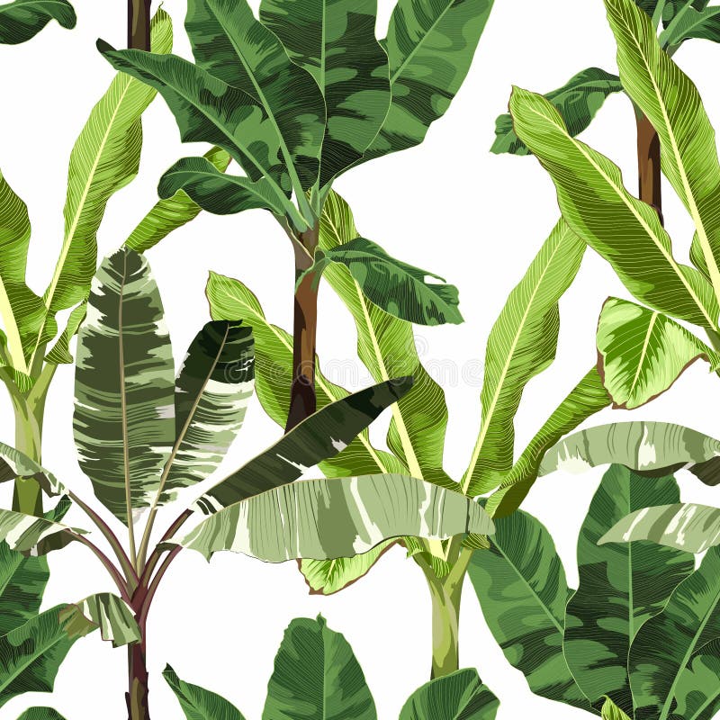 Bananas Tree. Seamless Floral Pattern with Exotic Plant and Palm Leaves ...