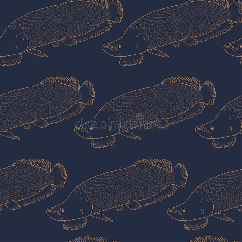 Arapaima Fish Stock Illustrations – 59 Arapaima Fish Stock ...