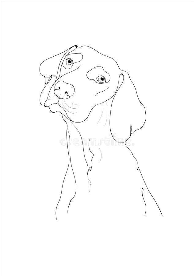 Line Art Portrait of Labrador Retriever Stock Illustration ...