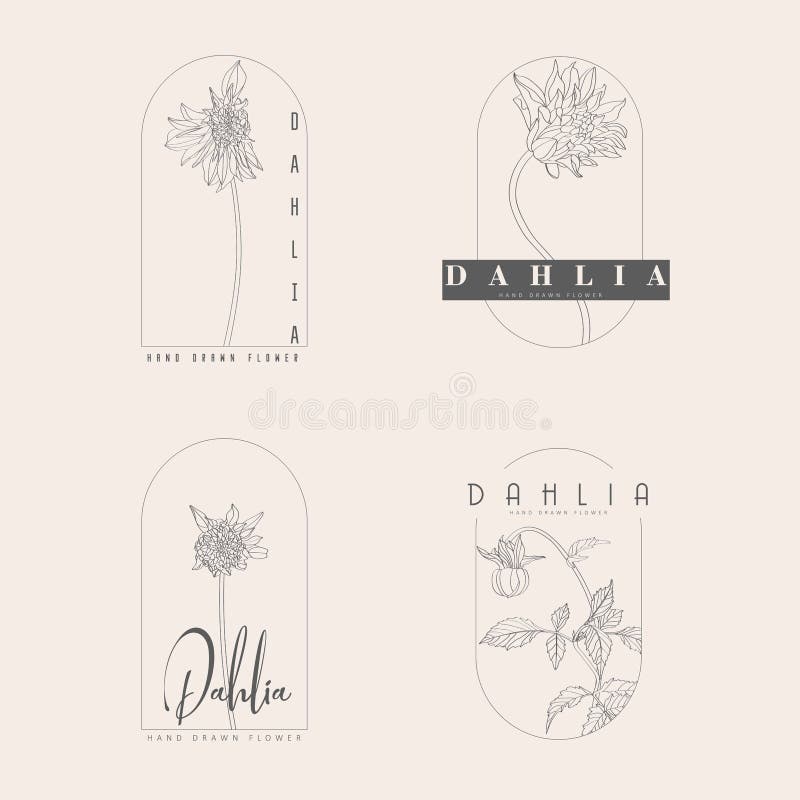 Wedding Logo, Botanical Rustic Trendy Rores Flowers Illustration. Stock ...