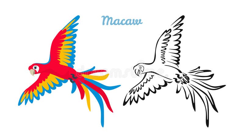 Macaw Outline Wing Stock Illustrations – 1,110 Macaw Outline Wing Stock ...