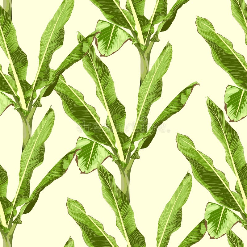 Bananas Tree. Seamless Floral Pattern with Exotic Banana Grass ...