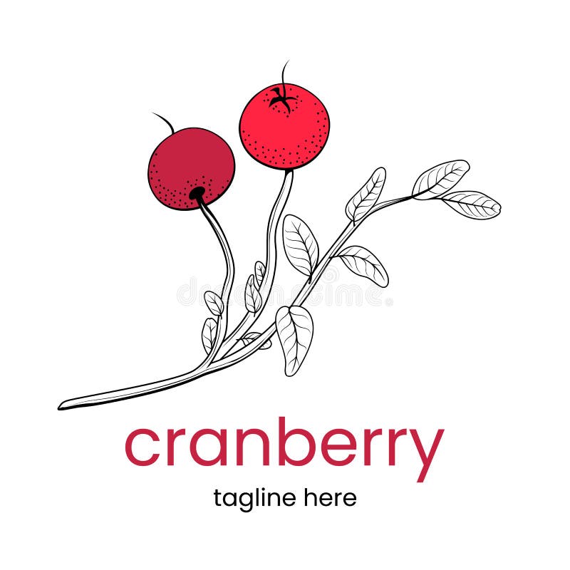 Cranberry Logo Template. Hand Drawn Cranberry Branch Stock Vector ...