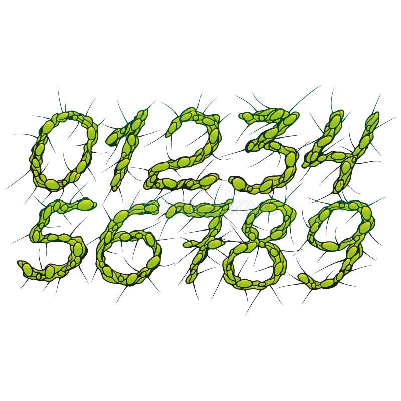 Spine Numbers Stock Illustrations – 58 Spine Numbers Stock ...