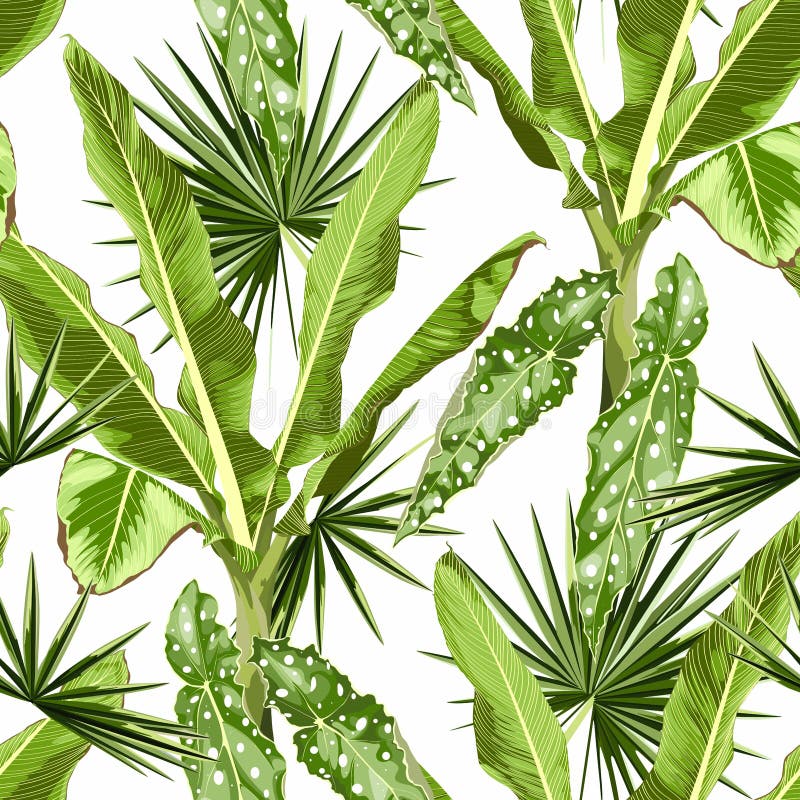 Bananas Tree. Seamless Floral Pattern with Exotic Plant and Fan Palm ...