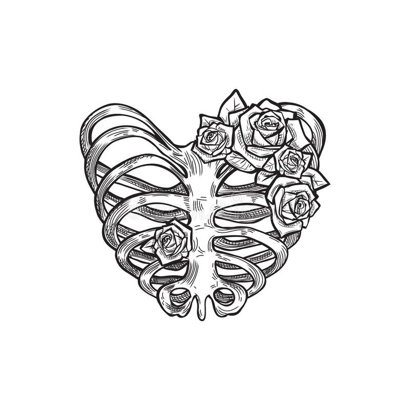 Black and White Skeleton Heart with Roses, Stock Vector - Illustration ...