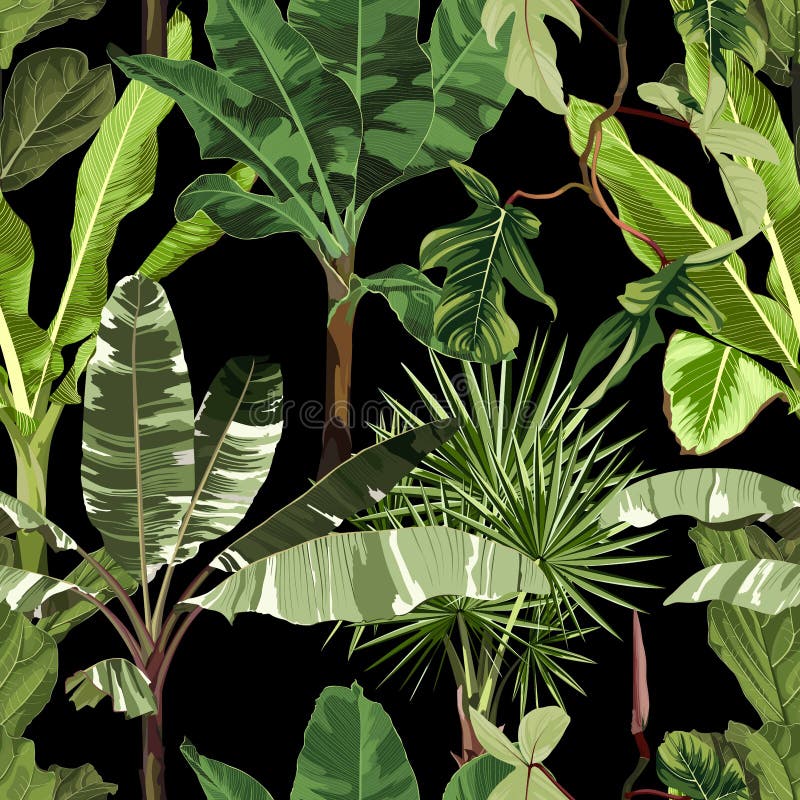Bananas Tree. Seamless Floral Pattern with Exotic Plant and Fan Palm ...