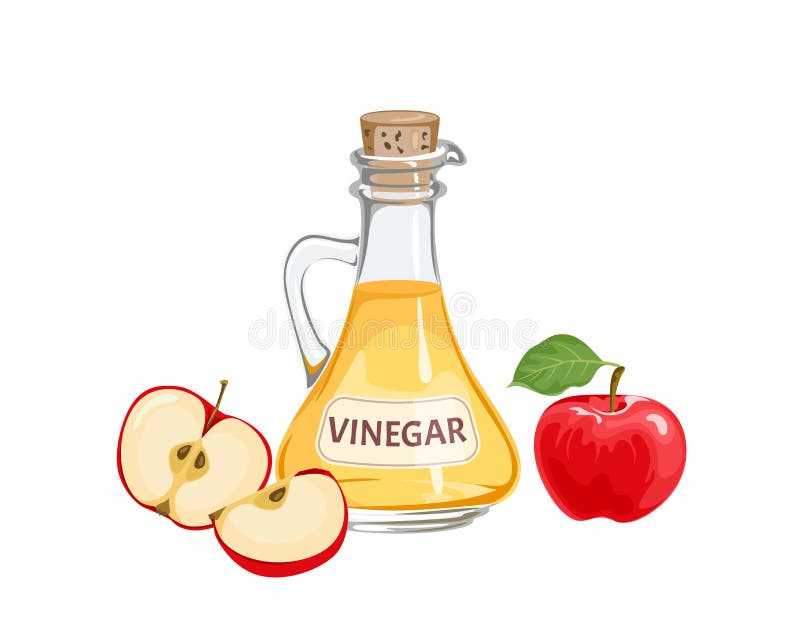 Apple Cider Vinegar Cartoon Stock Illustrations – 312 Apple Cider ...
