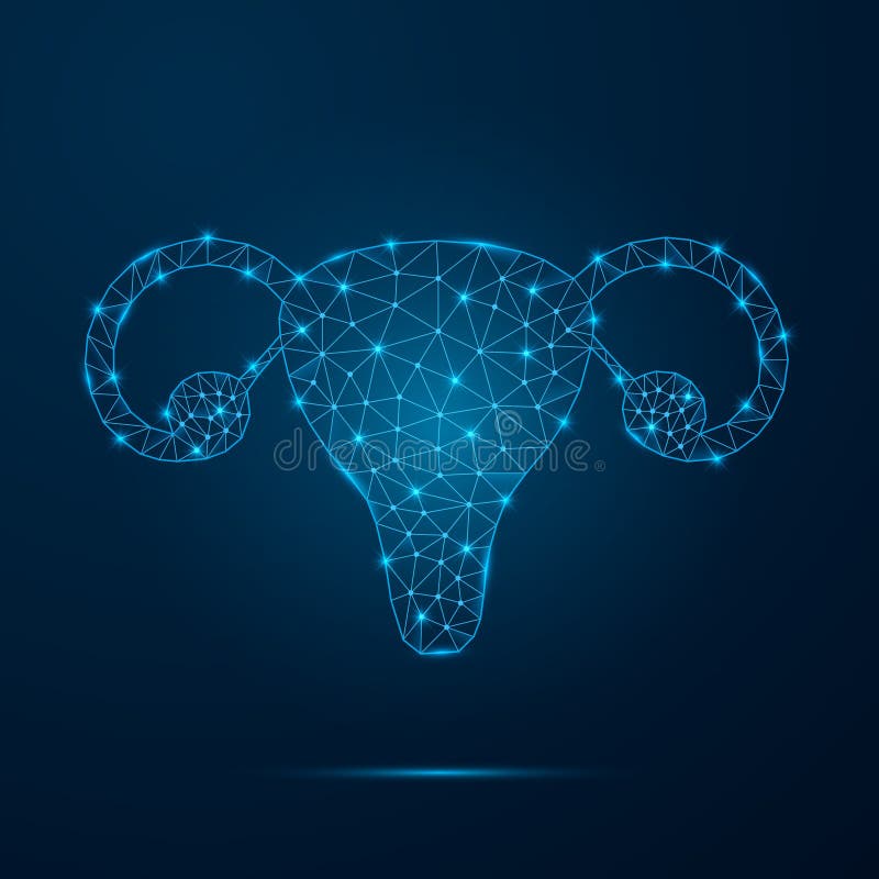 Female Reproductive System with Low Poly Glowing Connected Dots. Stock ...