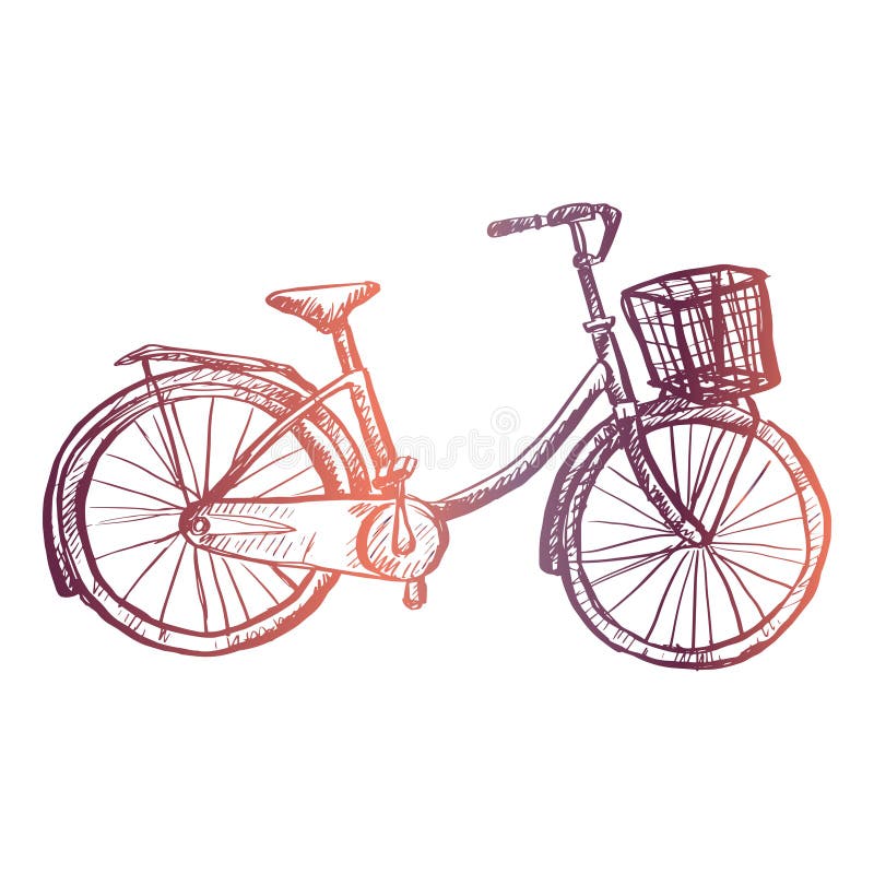 Bicycle Basket Hand Drawing Illustration Stock Vector - Illustration of ...