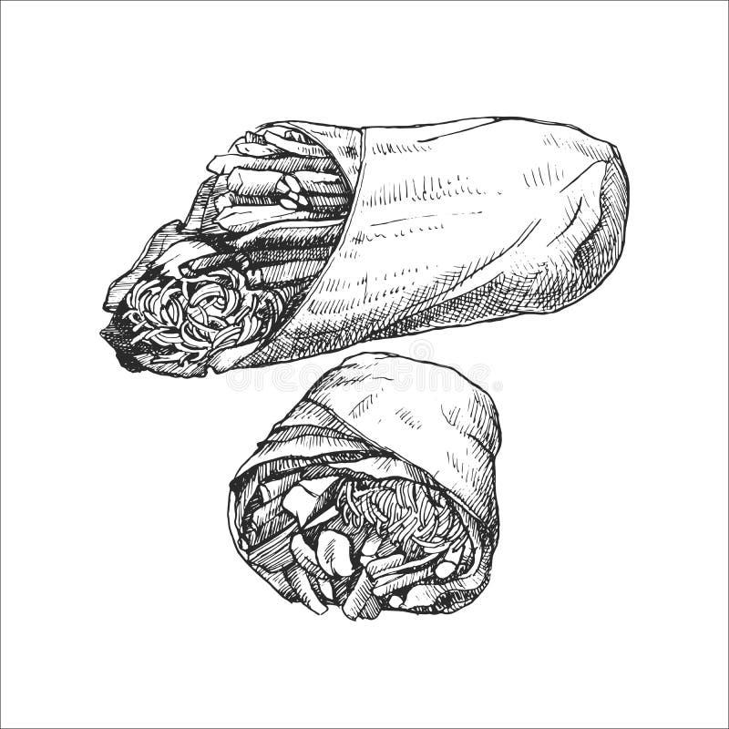 Asian Dishes. Hand-drawn Illustration of Spring Rolls. Vector. Ink ...