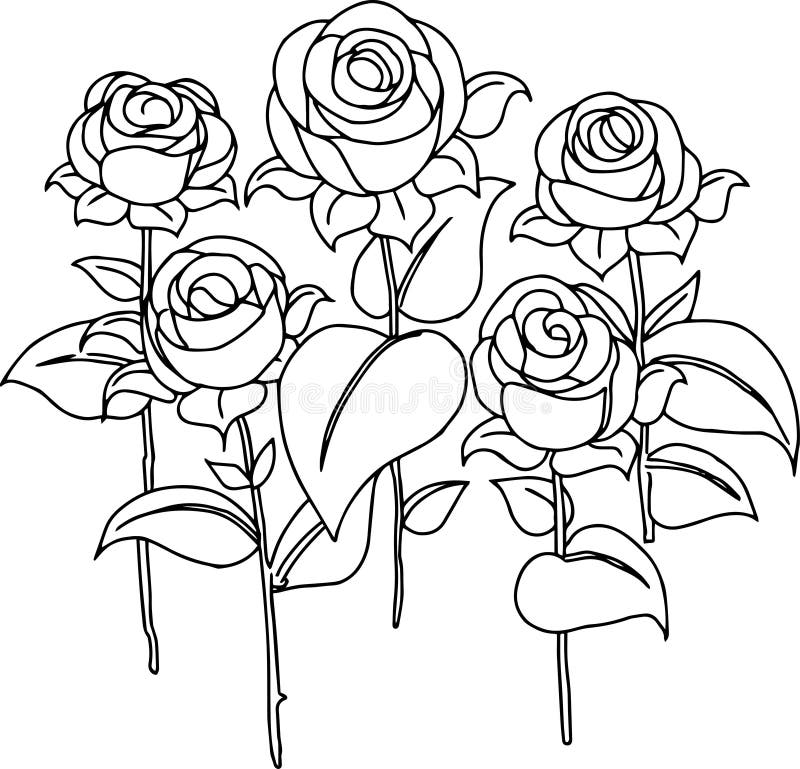 Design Vector Outline Five Rose, Out Line Art Five Rose Design Vector ...