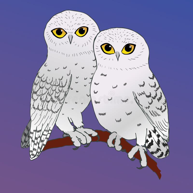 Snowy Owls Stock Illustrations – 267 Snowy Owls Stock Illustrations, Vectors & Clipart - Dreamstime