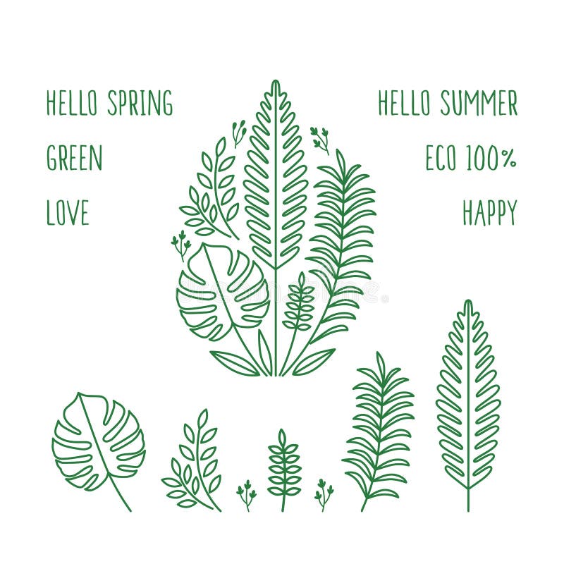 The Set of Hand Drawn Icons, Labels, Floral Elements, Tropical Leaves ...