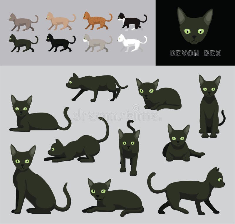 Cat Devon Rex Cartoon Vector Illustration Color Variation Set Stock ...