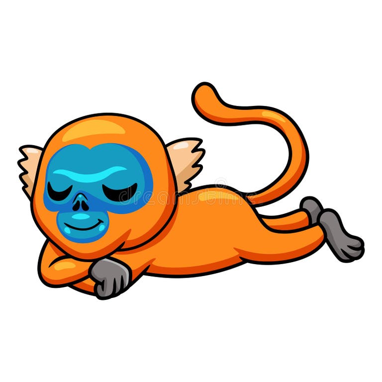 Cute Little Golden Monkey Cartoon Sleeping Stock Vector - Illustration ...