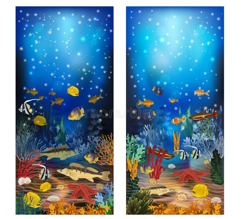 Underwater Banners with Tropical Fish. Vector Stock Vector ...