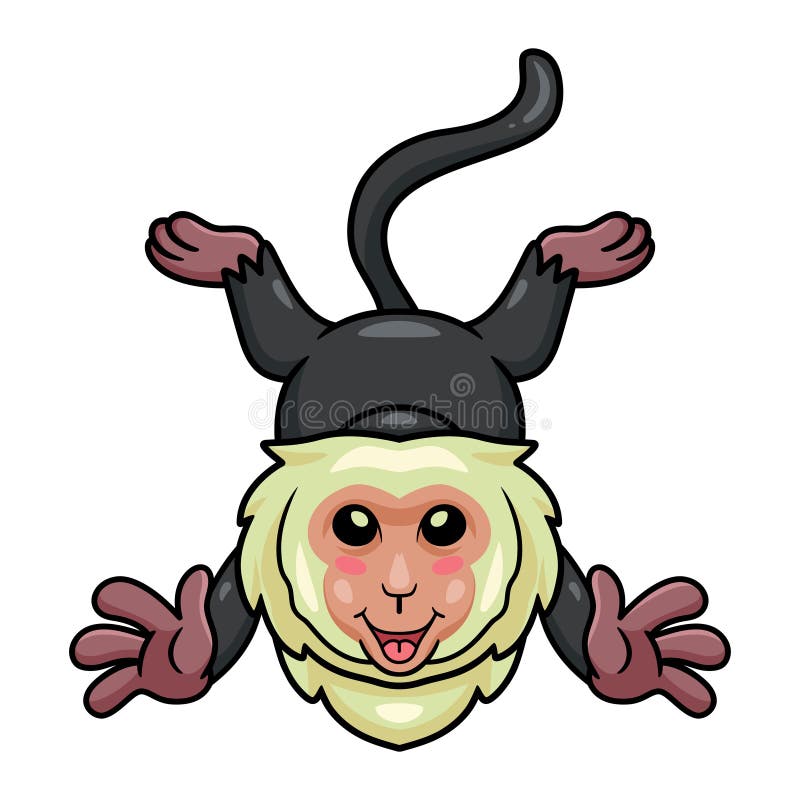 Cute Little Capuchin Monkey Cartoon Stock Vector - Illustration of ...
