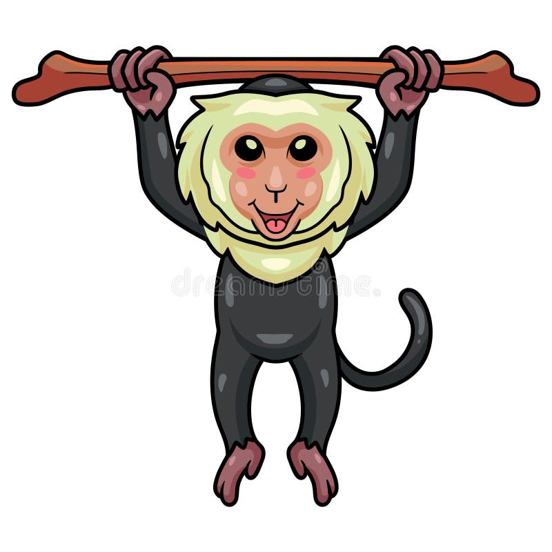 Cute Little Capuchin Monkey Cartoon Hanging Tree Stock Vector ...