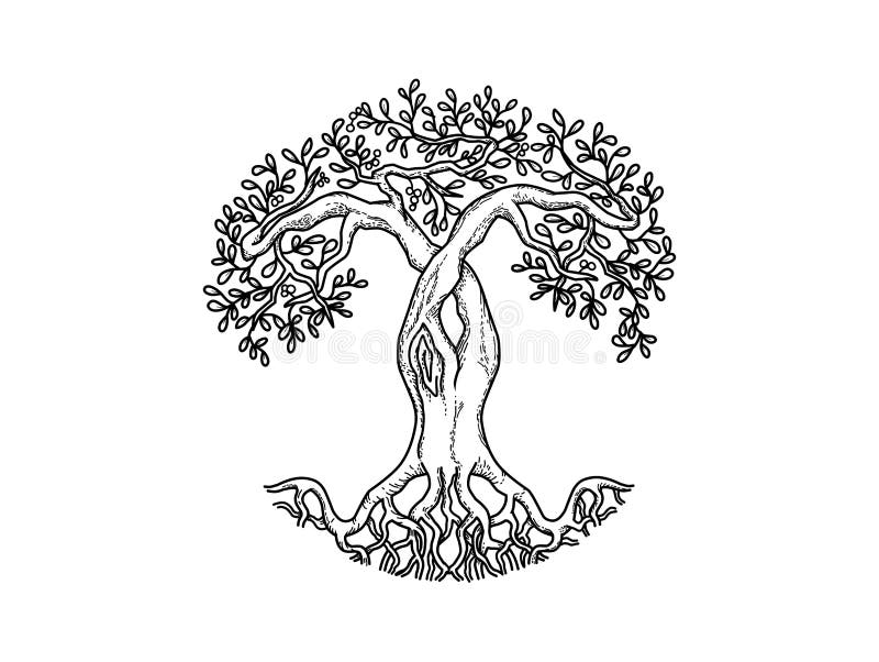 Printable Banyan Tree Image Vector Isolated Stock Vector - Illustration ...