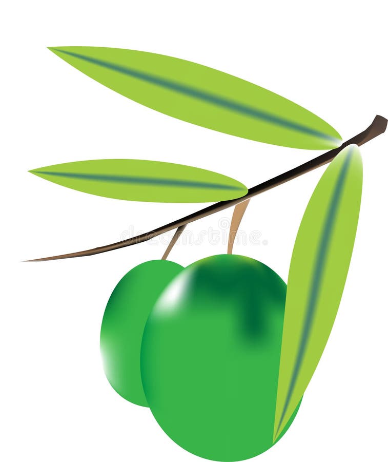 Olea Stock Illustrations – 378 Olea Stock Illustrations, Vectors ...