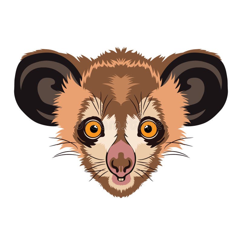 Aye Aye Face Vector Illustration in Cartoon Style Design Stock Vector ...
