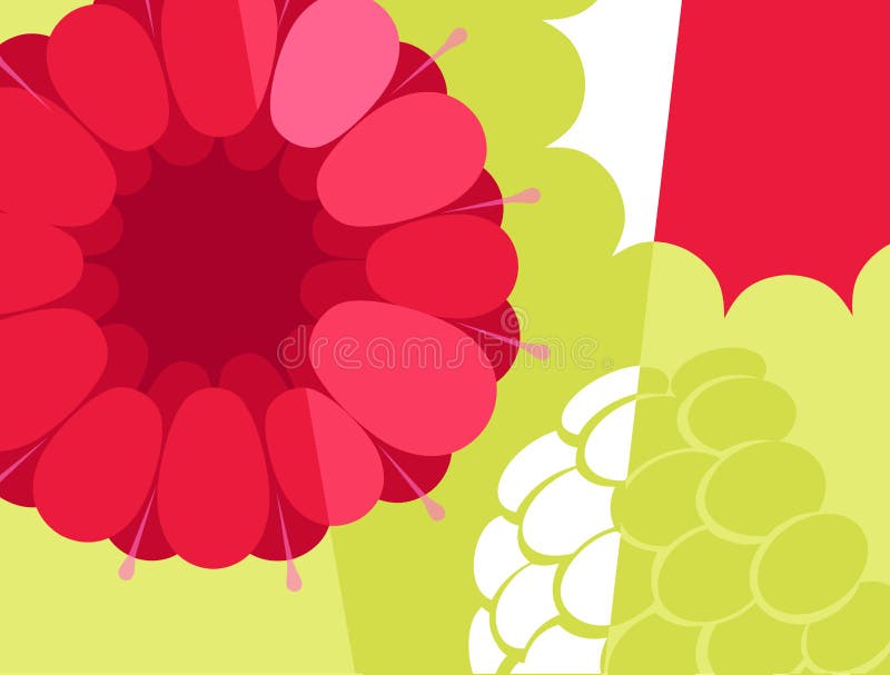 Abstract Fruit Illustration of Raspberries Close Up. Stock Vector ...
