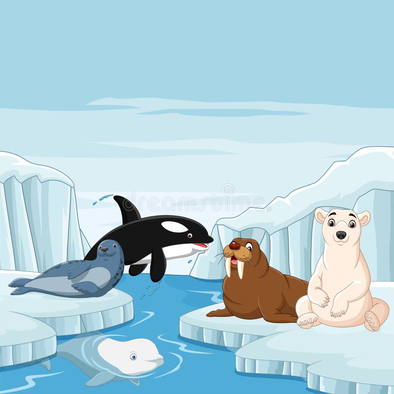 Cartoon Arctic Animals on Icebergs Stock Vector - Illustration of ...