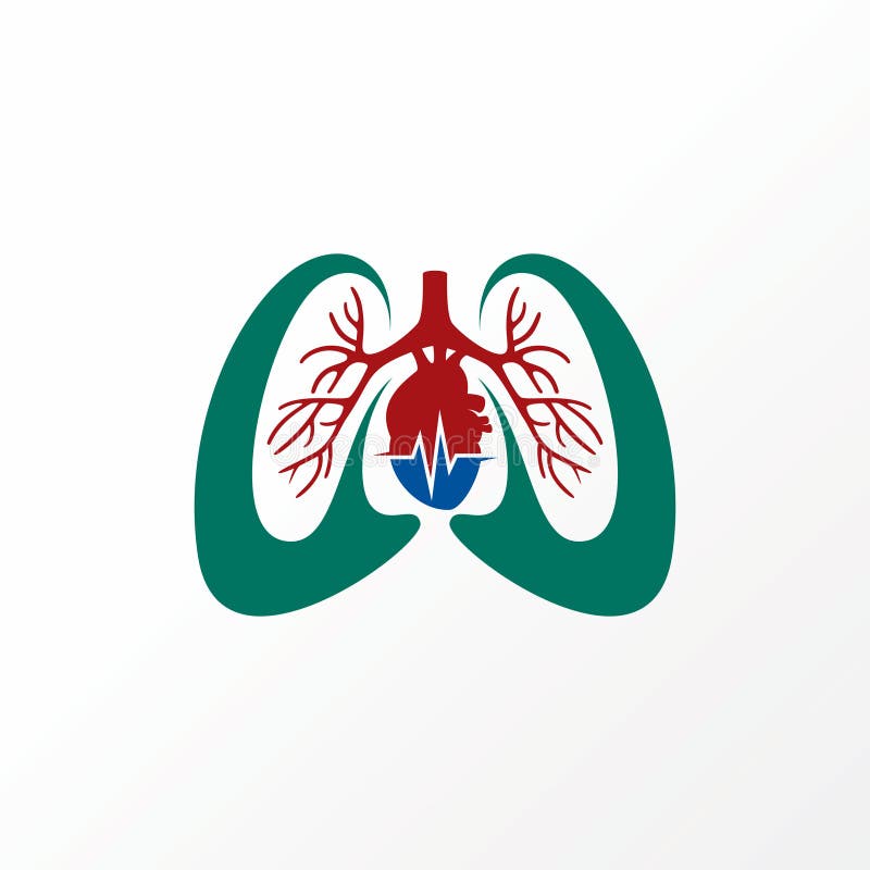 Unique and Simple Heart and Lungs with Medical Trading Image Graphic ...