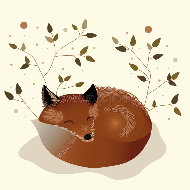 Small Fluffy Sleeping Fox in the Shade of Trees and Branches Stock ...