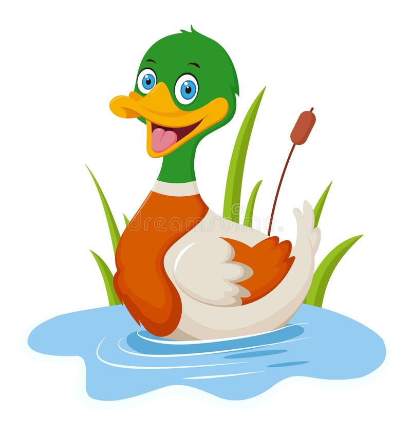 Happy duck cartoon stock vector. Illustration of isolated - 250277959