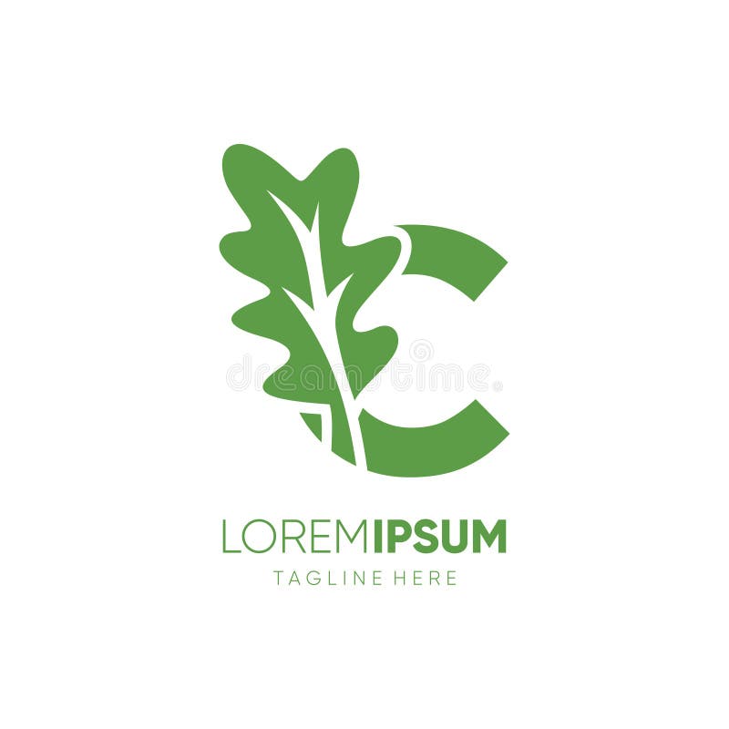 Letter C Oak Leaf Tree Logo Design Vector Icon Graphic Stock Vector ...