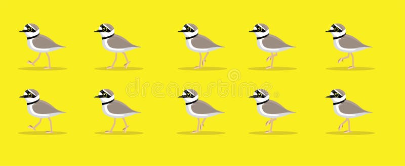 Animal Animation Sequence Bird Plover Walking Cartoon Vector Stock ...