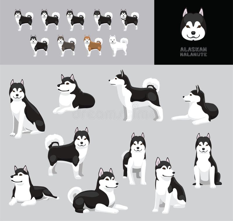 Dog Alaskan Malamute Cartoon Vector Illustration Color Variation Set ...