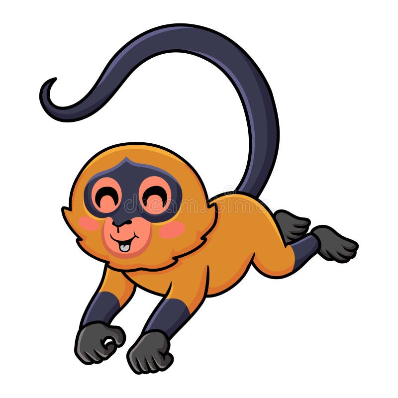 Spider Monkey Clipart