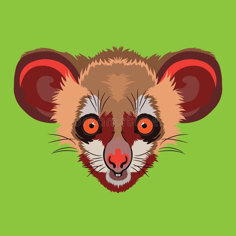 Aye Aye Face Vector Illustration in Cute Cartoon Style Stock Vector ...