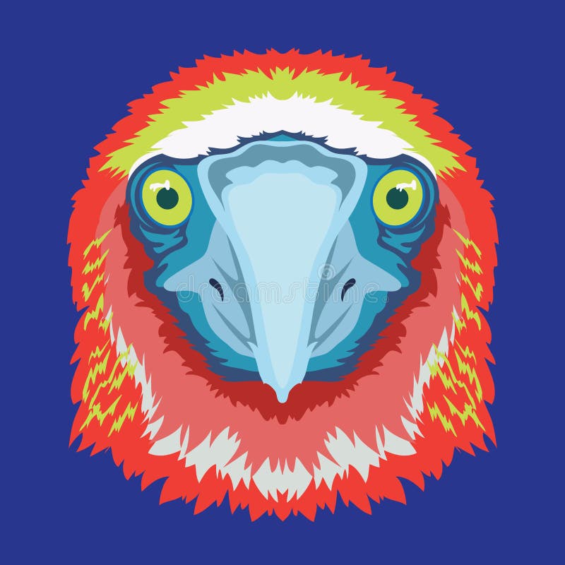 Blue Footed Booby Bird Face Vector Illustration in Decorative Style ...