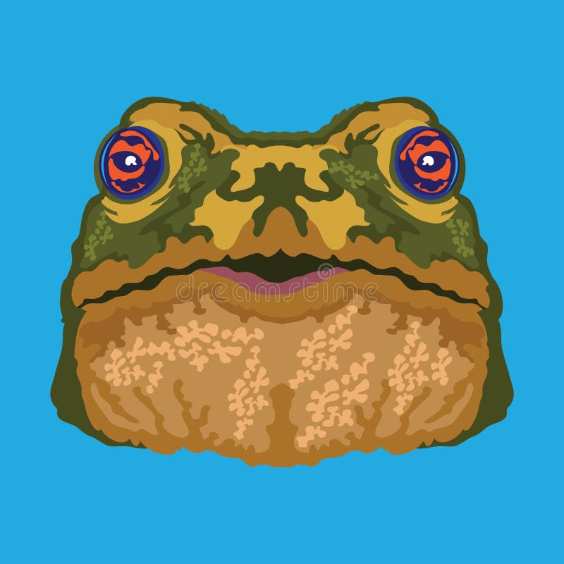 Natterjack Toad Face Vector Illustration in Decorative Style Design ...