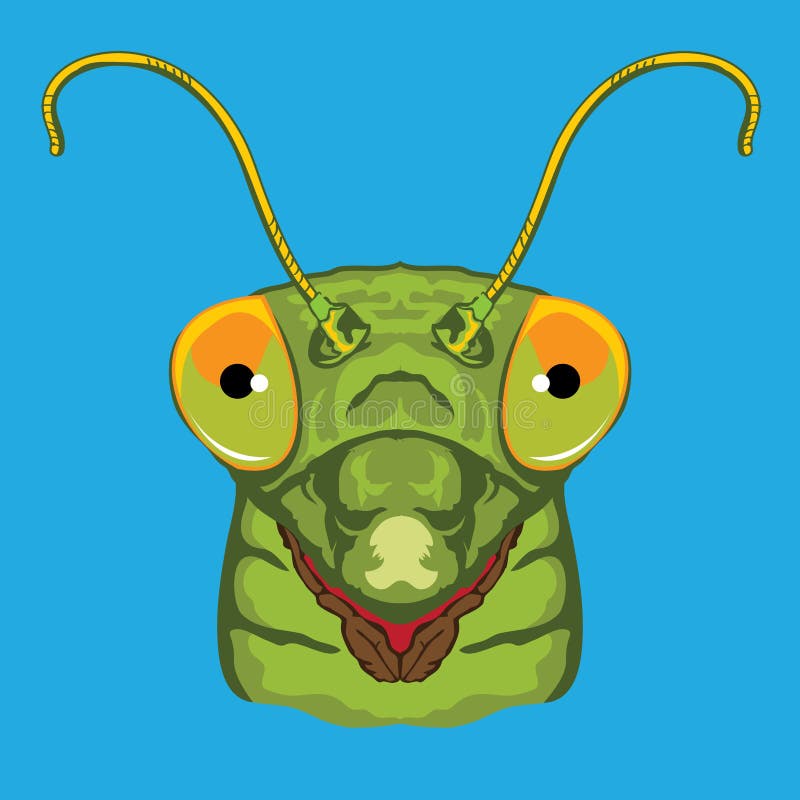 Praying Mantis Face Drawing
