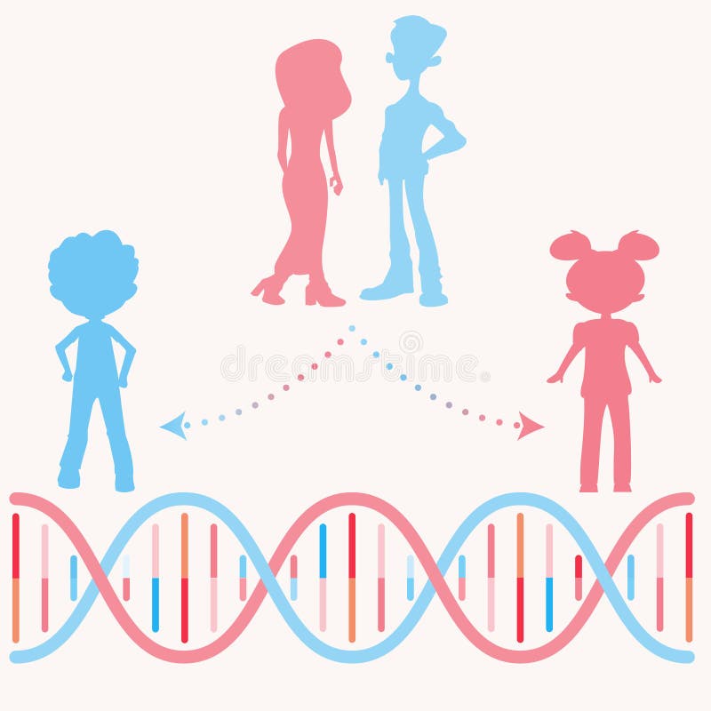 DNA Family Inheritance Background Stock Vector - Illustration of helix ...