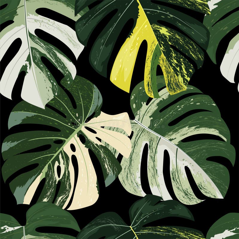 Hand Drawn Spotted Montera Leaves for Background. Stock Vector ...