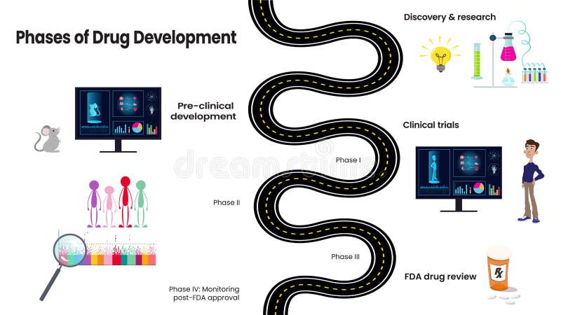 Phases of Drug and Treatment Development Stock Vector - Illustration of ...