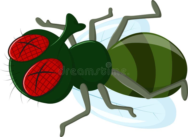 Cartoon Dead Bug Stock Illustrations – 512 Cartoon Dead Bug Stock ...