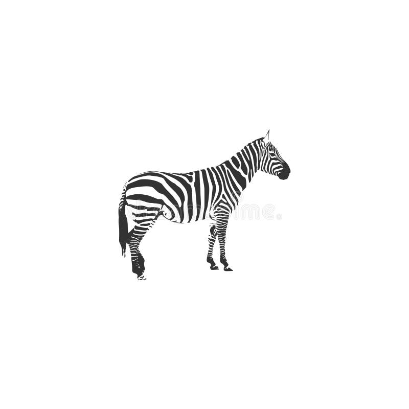 Zebra Logo Design Inspiration. Zebra Logo on White Background Stock ...