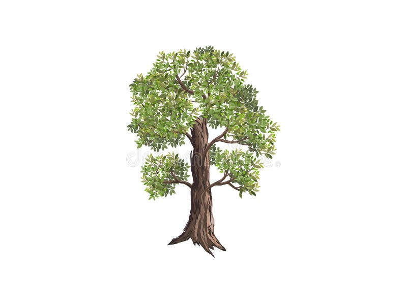 Tree Tamarind Logo Stock Illustrations – 37 Tree Tamarind Logo Stock ...