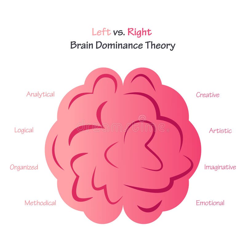 Left Versus Right Brain Dominance Theory Stock Vector - Illustration of ...