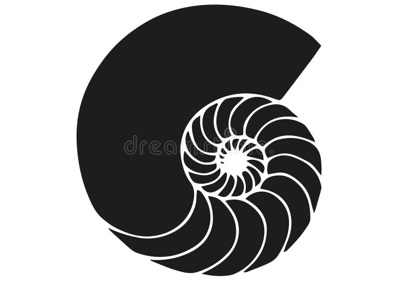 Golden shell design stock illustration. Illustration of creation ...