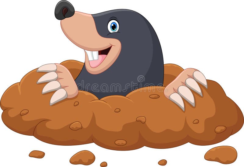 Cartoon Mole Come Out of the Hole Stock Illustration - Illustration of ...